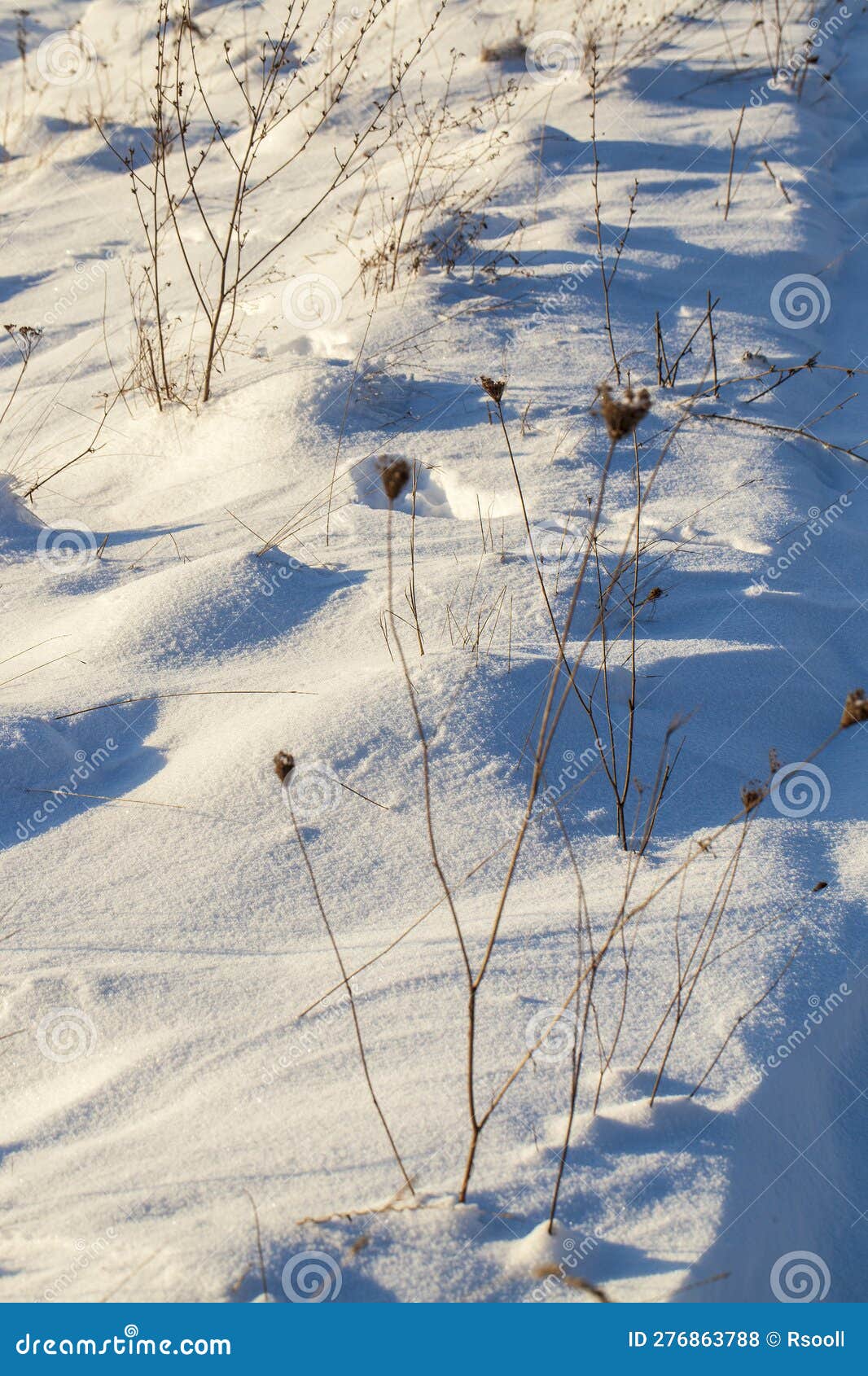 A Large Amount of Snow in Snowdrifts in Winter Stock Photo - Image of ...