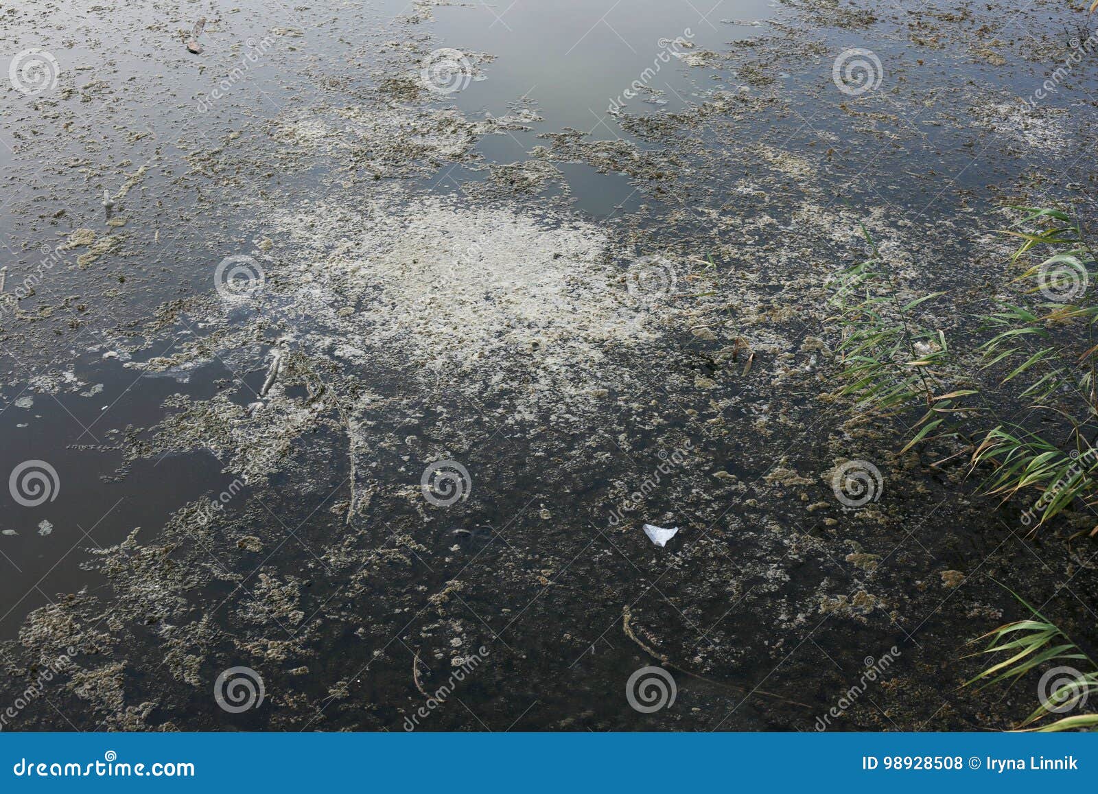 A Large Amount of Trash Polluting Our Waters. Low Water Quality. Bad ...
