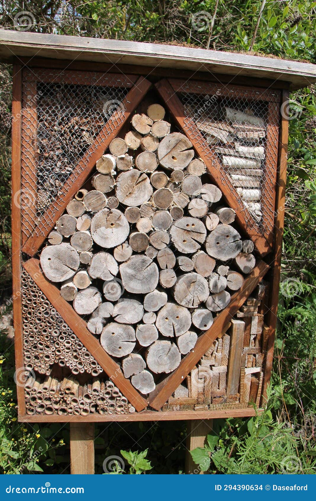 Large Animal Bug House. stock photo. Image of soil, floor - 294390634