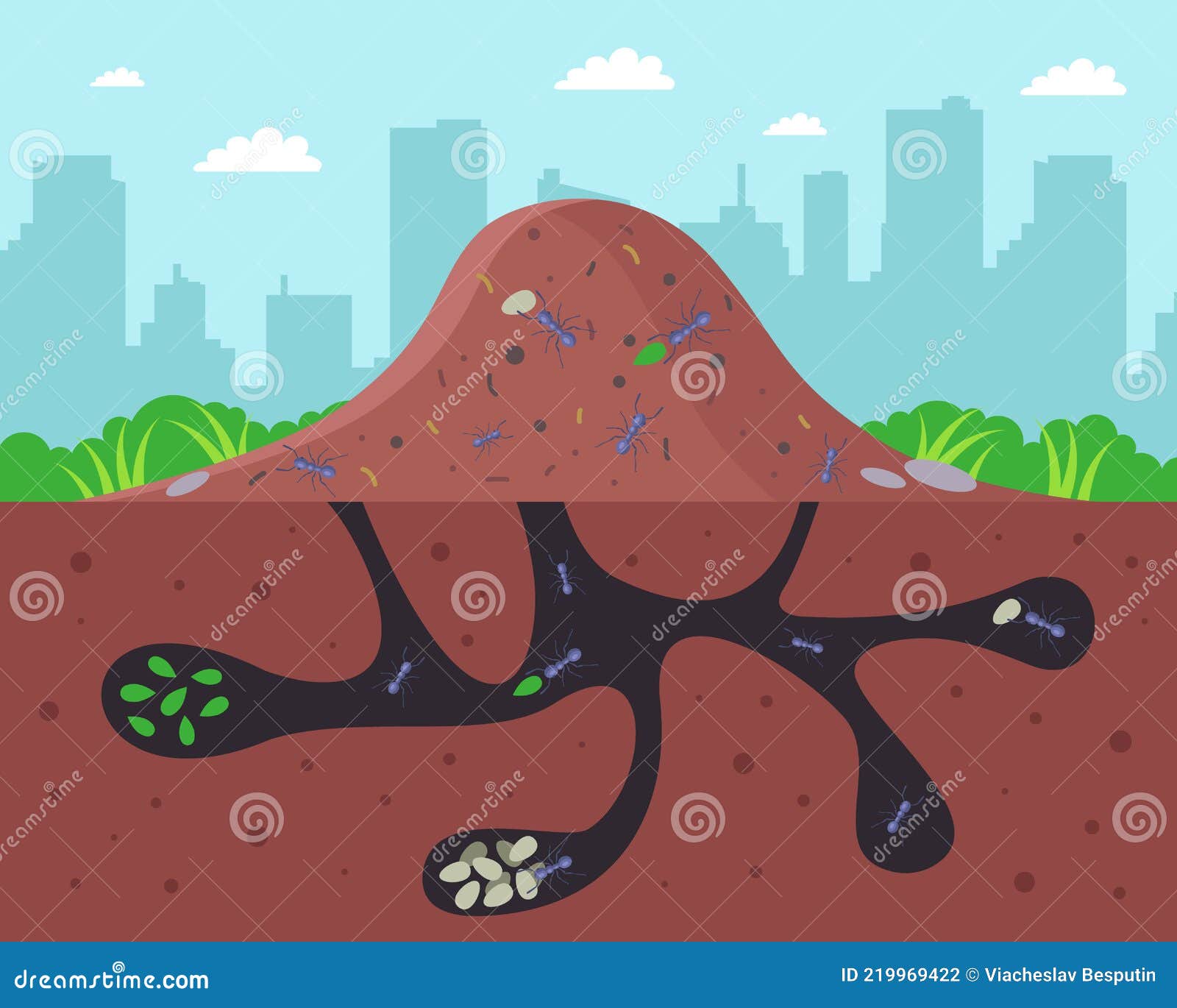 A Large Anthill with Passages Underground. Stock Vector - Illustration ...