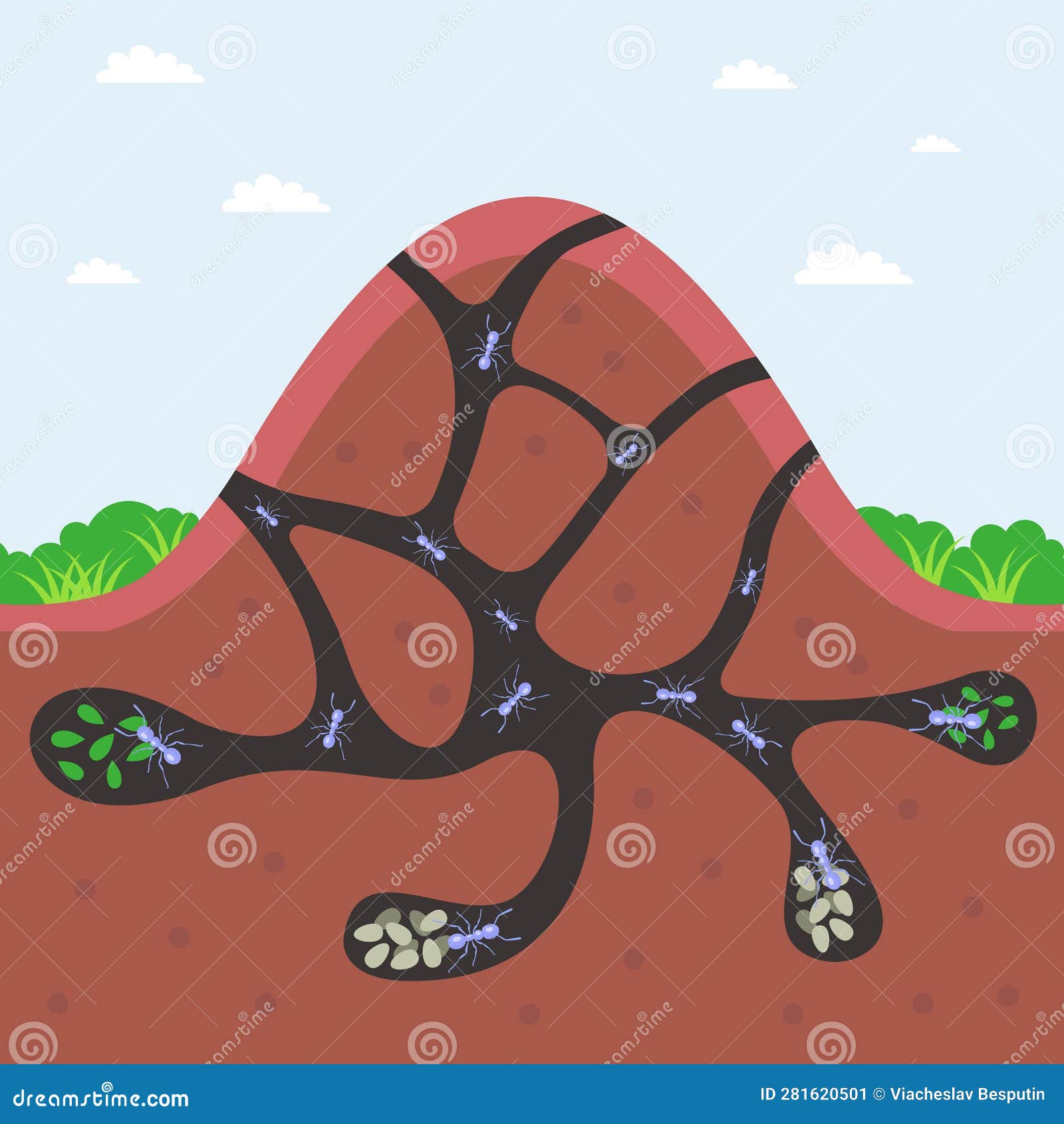 A Large Anthill with Passages Underground. Stock Vector - Illustration ...