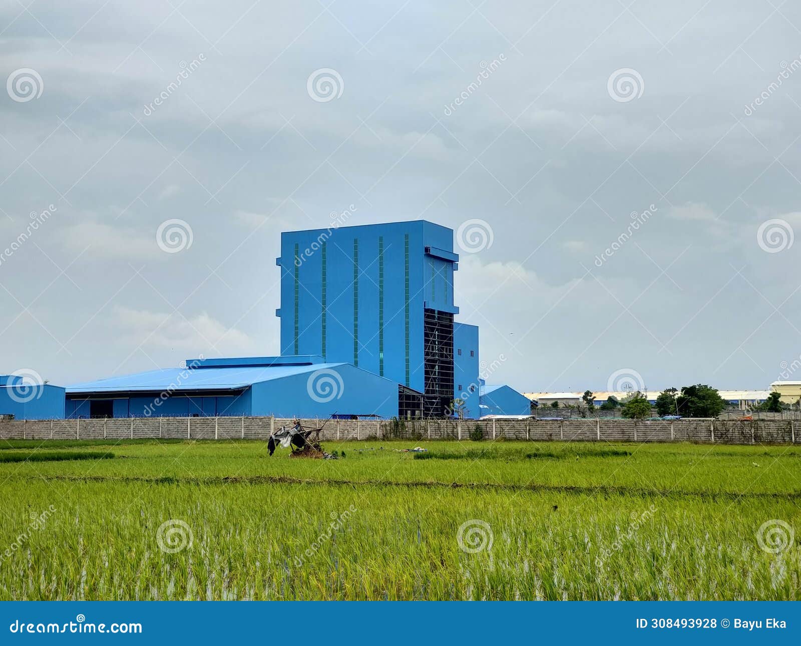 Large Architectural Building Next To Rice Fields Stock Photo - Image of ...