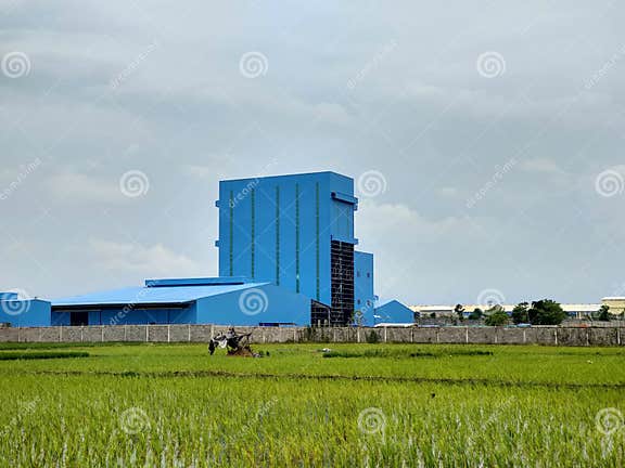 Large Architectural Building Next To Rice Fields Stock Photo - Image of ...