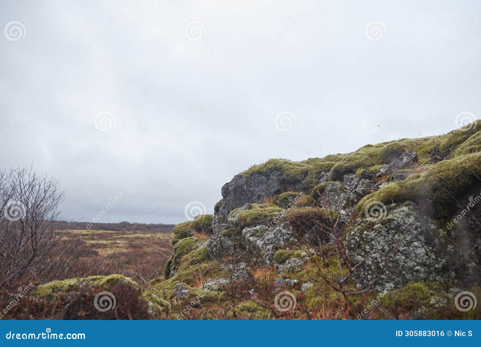 A Large Area of Moss Covered the Damp Surface and Rocks Stock Photo ...