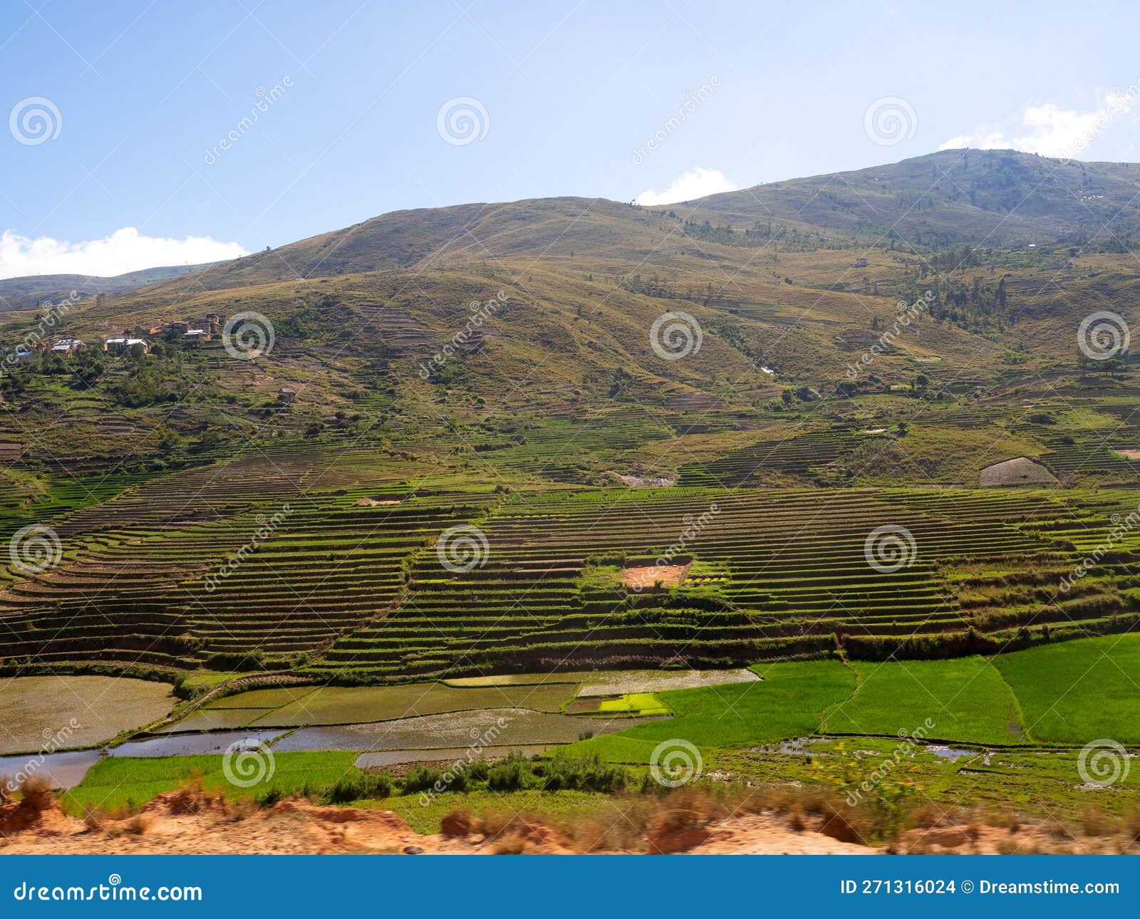 The Large Areas of Terraced Rice Fields of Southern Madagascar Stock ...