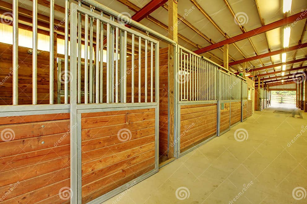Large Arena with Horse Stables Stock Photo - Image of horse, inside ...