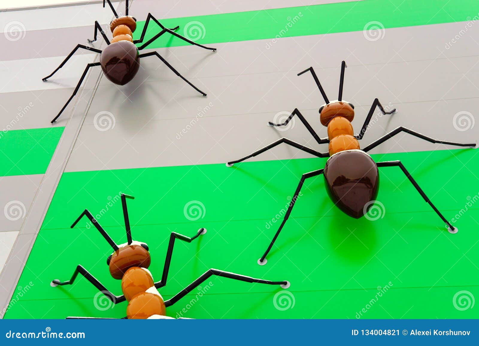 Large Artificial Decorative Ants on a Wall Stock Image - Image of black ...