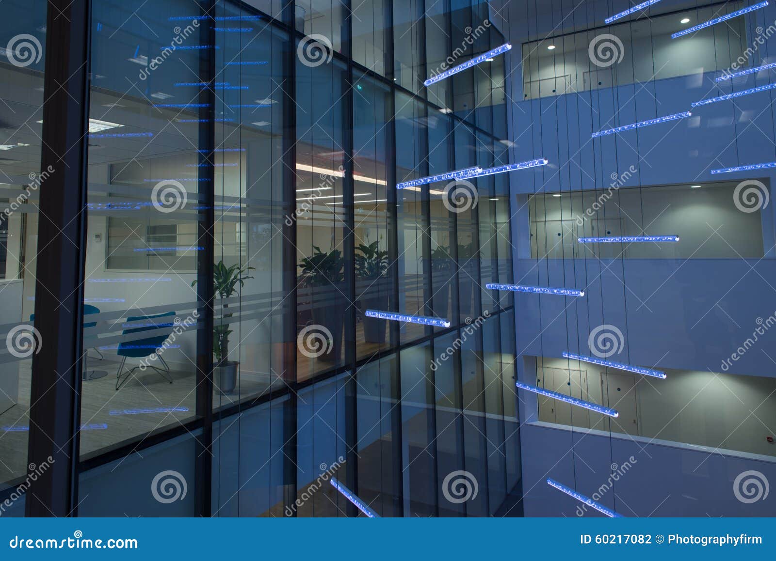 Large Atrium Night stock photo. Image of hallway, plant - 60217082