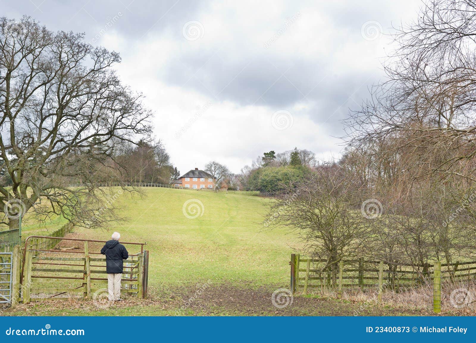 Large back garden stock image. Image of garden, home - 23400873
