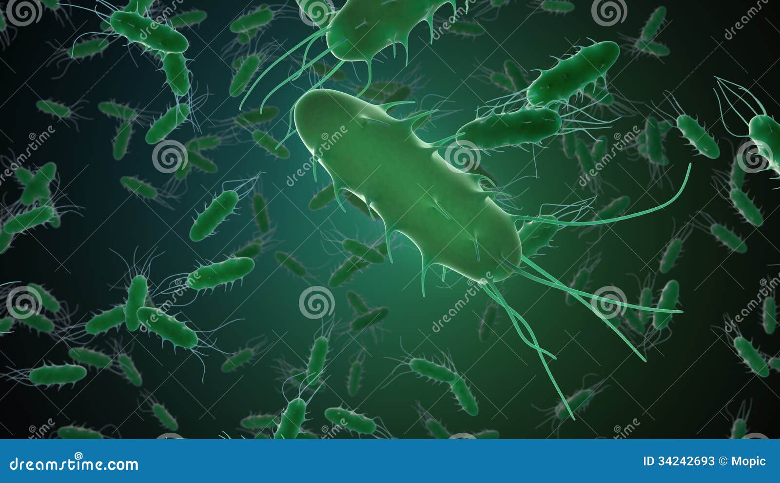 Large bacterial colony stock illustration. Illustration of human - 34242693