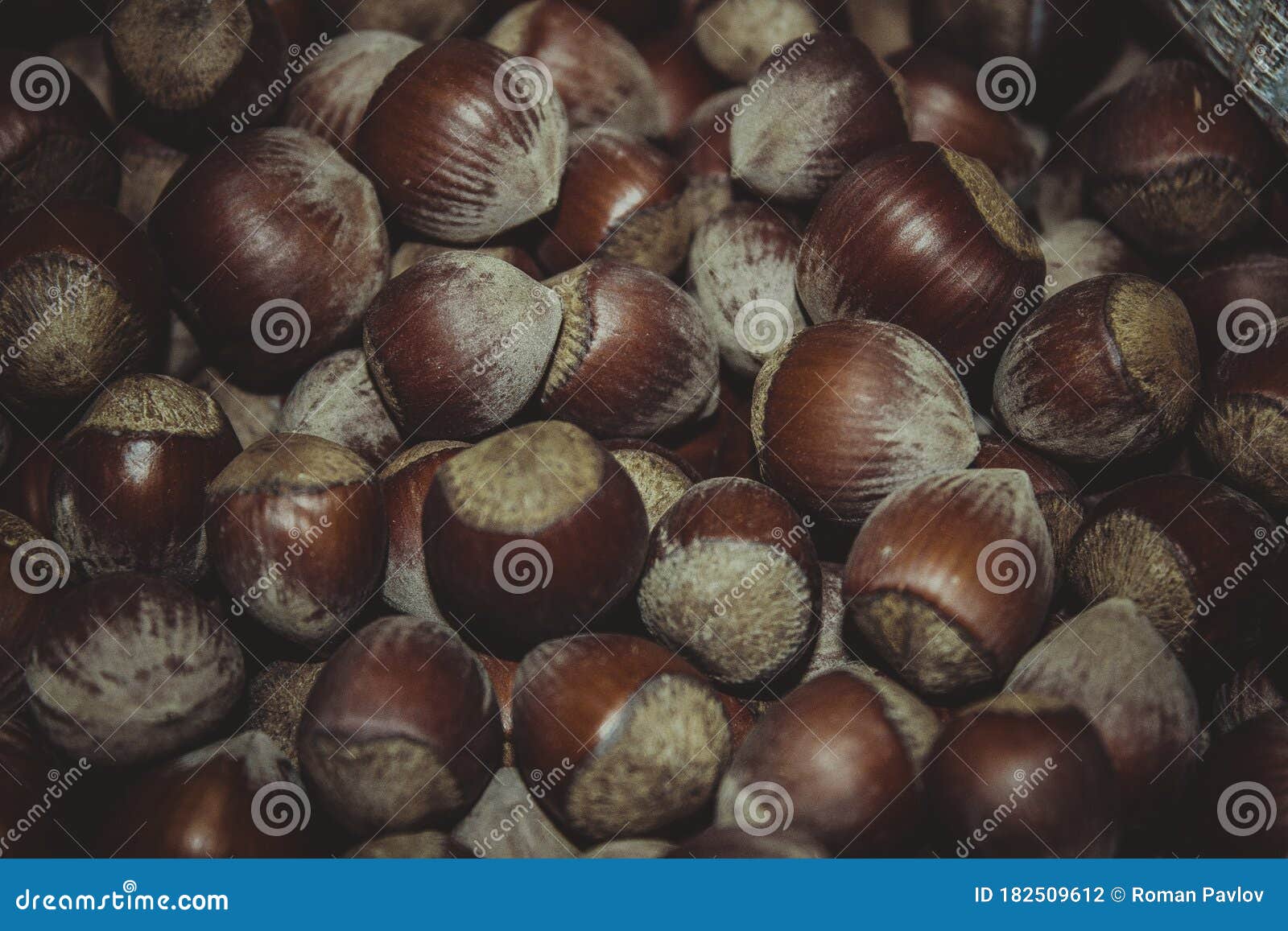 Bag of Hazelnuts in the Shell Hazelnuts Stock Photo - Image of ...