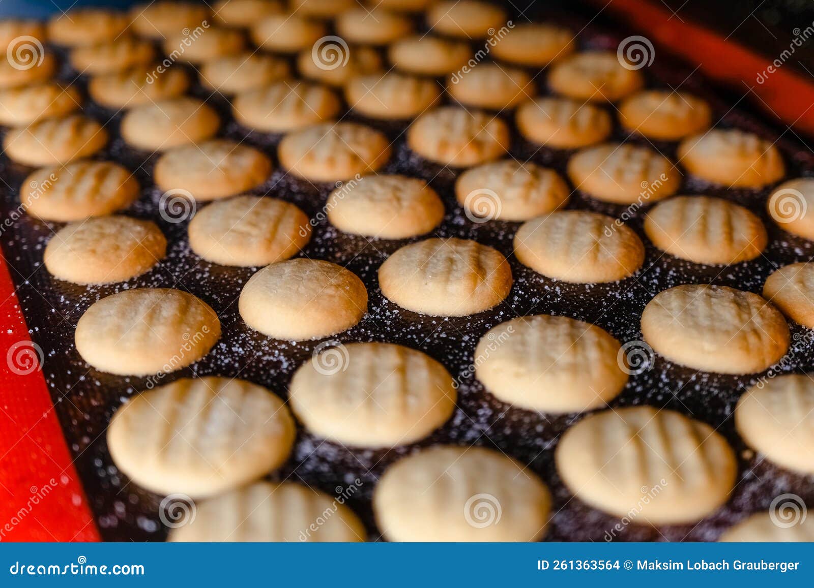 Large Baking Tray with Shortbread Stock Photo - Image of closeup ...
