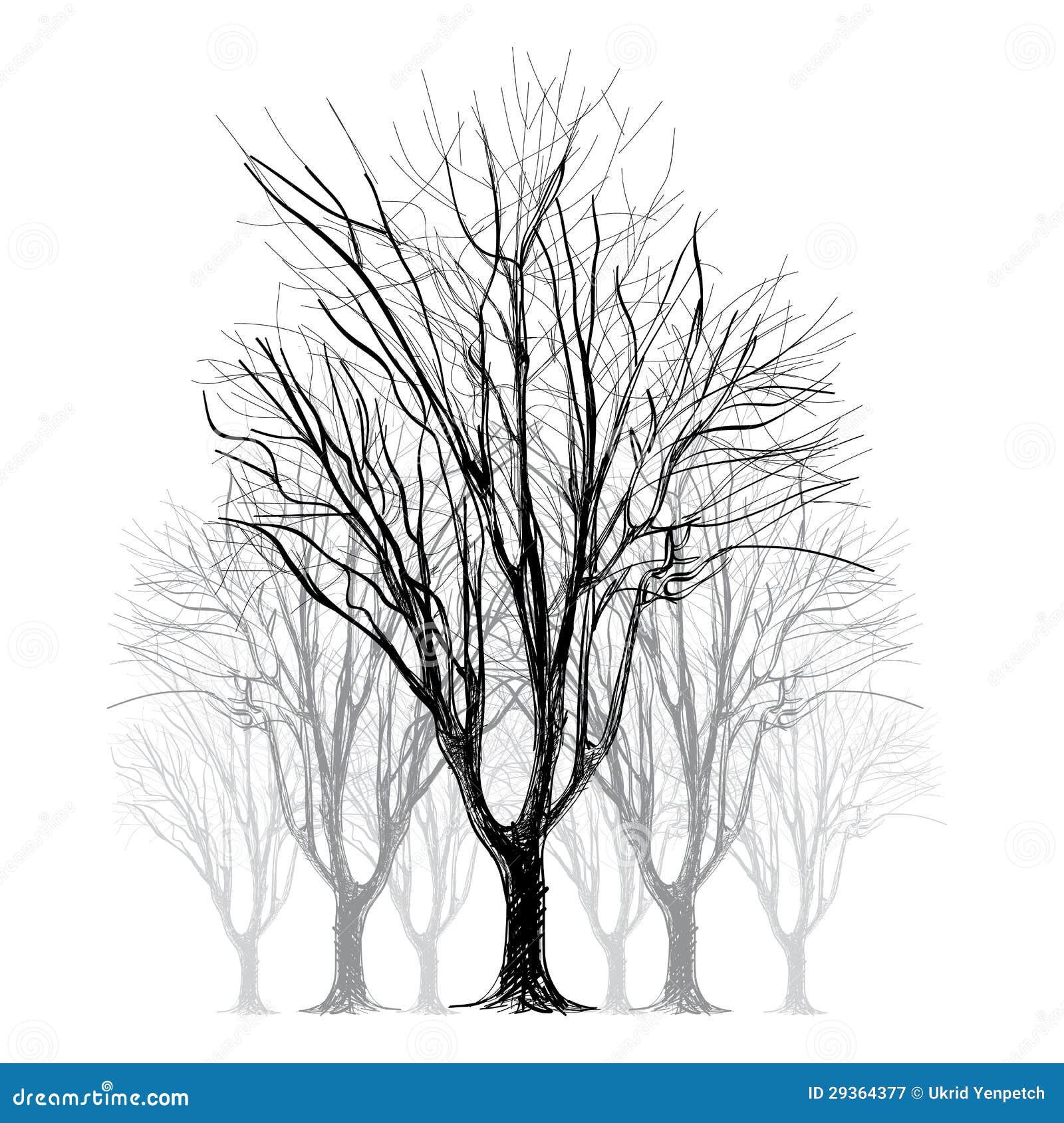 Large Bare Tree without Leaves - Hand Drawn Stock Vector - Illustration ...
