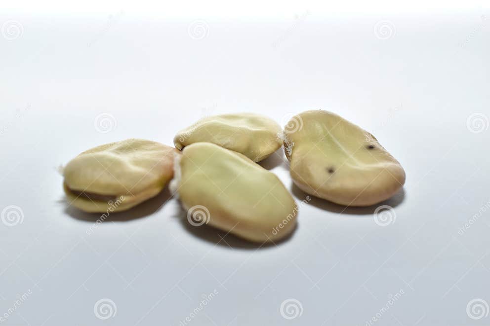 Large bean grain size. stock image. Image of vegetarian - 330345125