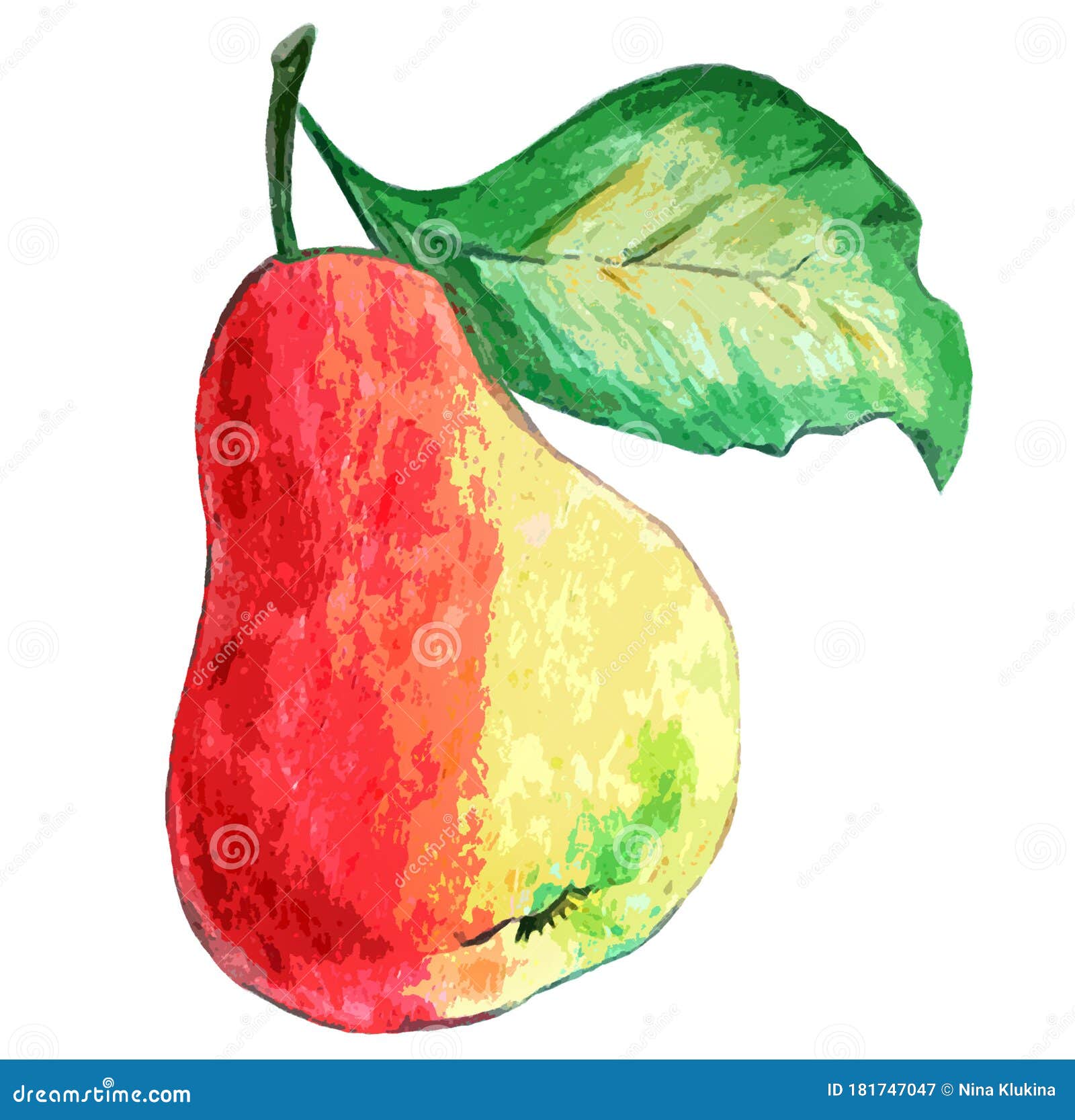 Large, Beautiful, Multi-colored Pear on a White Background Stock ...