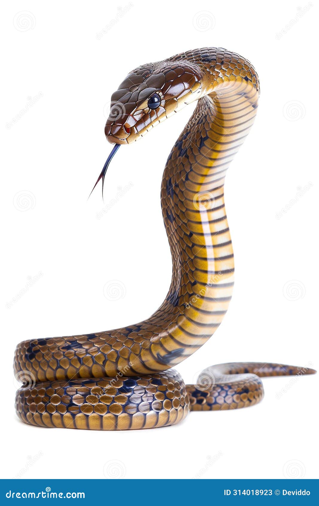 Beautiful Snake Demon Female Anime Character Stock Photo ...
