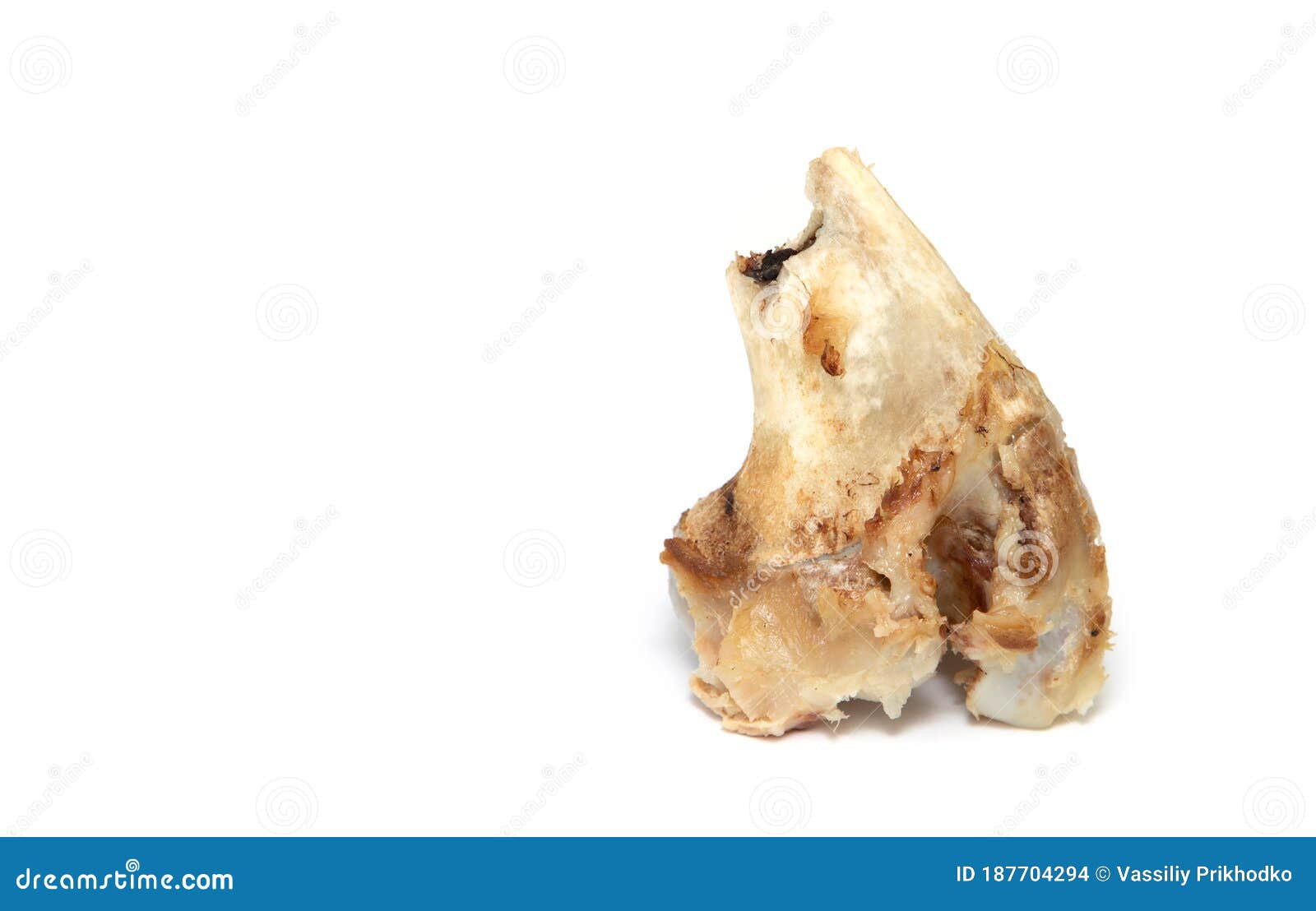 A Large Beef Marrow Bone on a White Stock Photo - Image of pork, diet ...