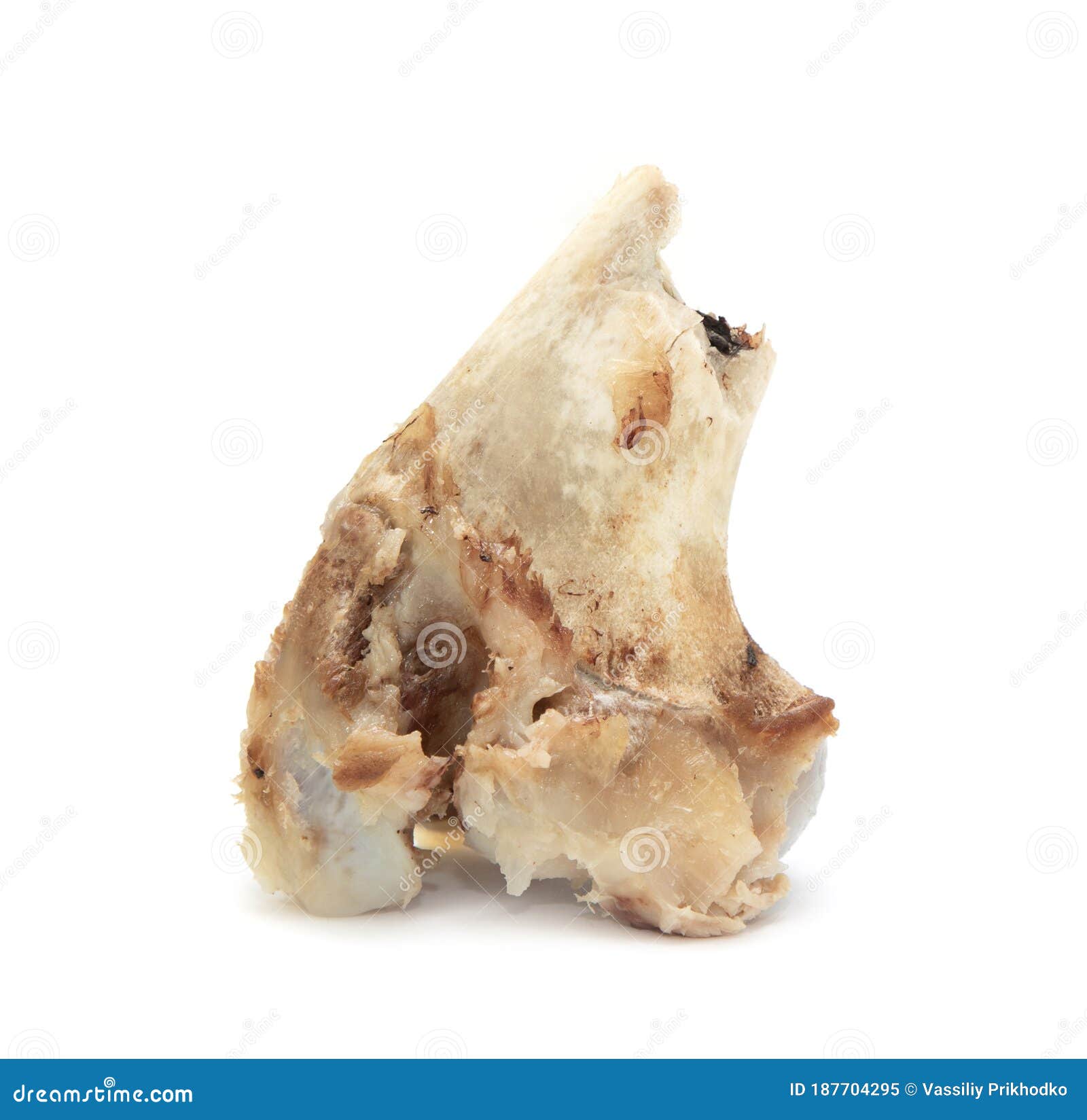 A Large Beef Marrow Bone on a White Stock Image - Image of meaty ...