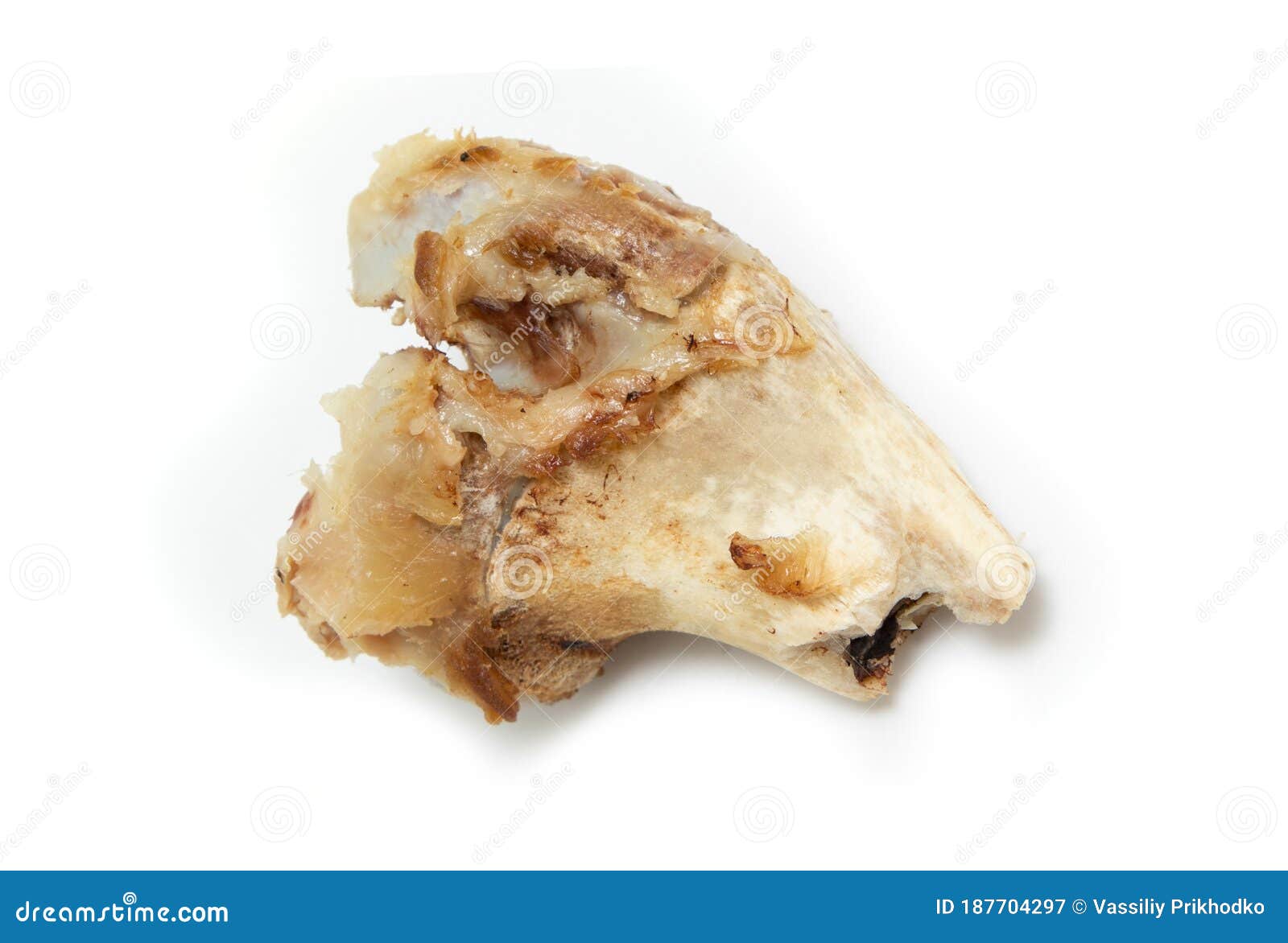 A Large Beef Marrow Bone on a White Stock Image - Image of closeup ...