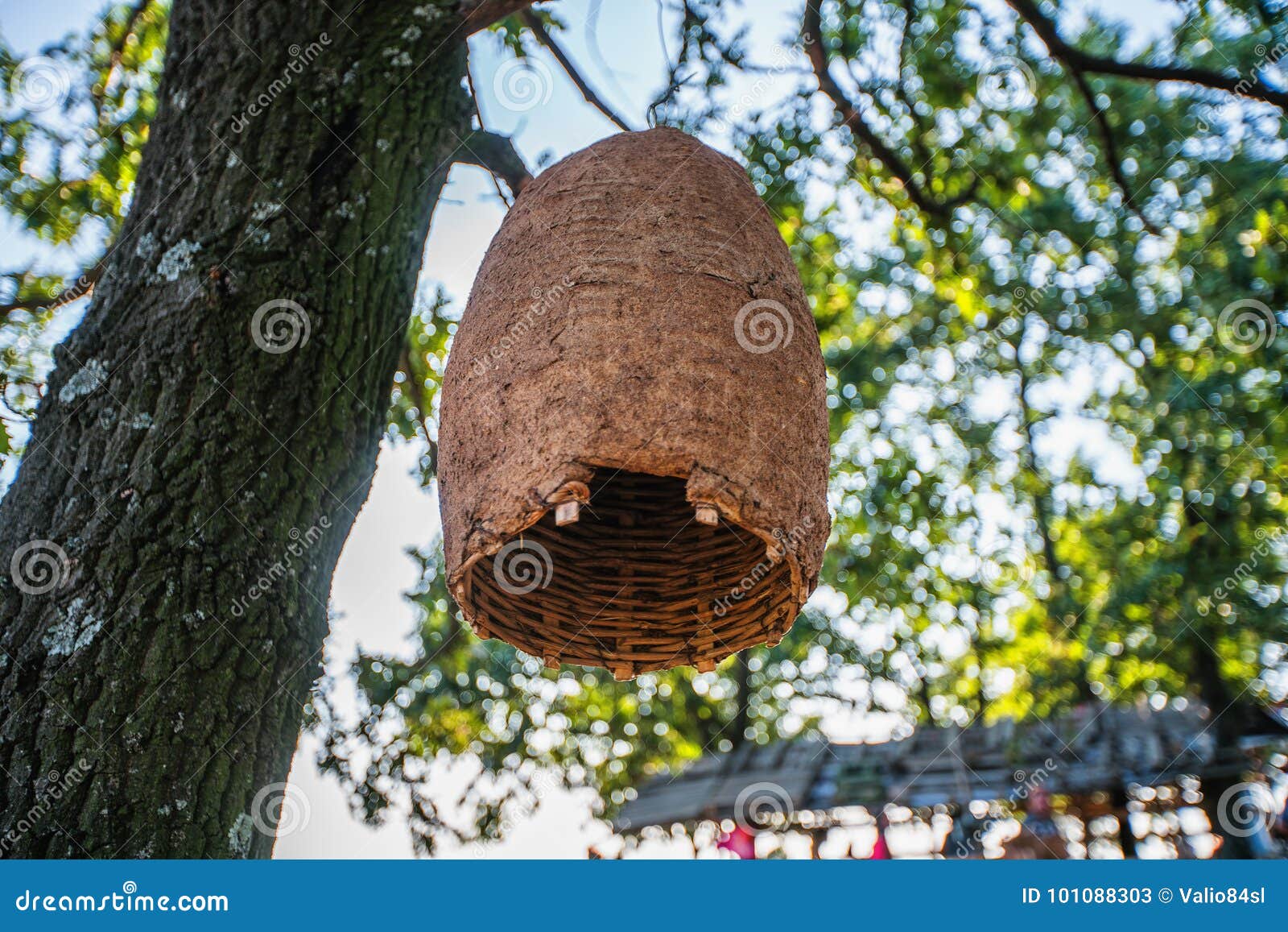 Large Beehive House on a Tree in a Forest Stock Image - Image of farm ... Large Beehive House on a Tree in a Forest Stock Image - Image of farm ...