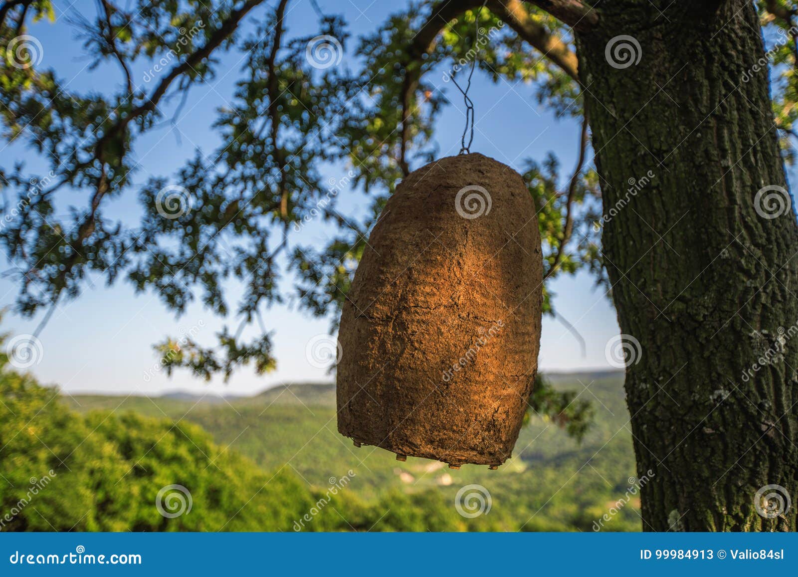 Large Beehive House on a Tree in the Forest Stock Image - Image of ...