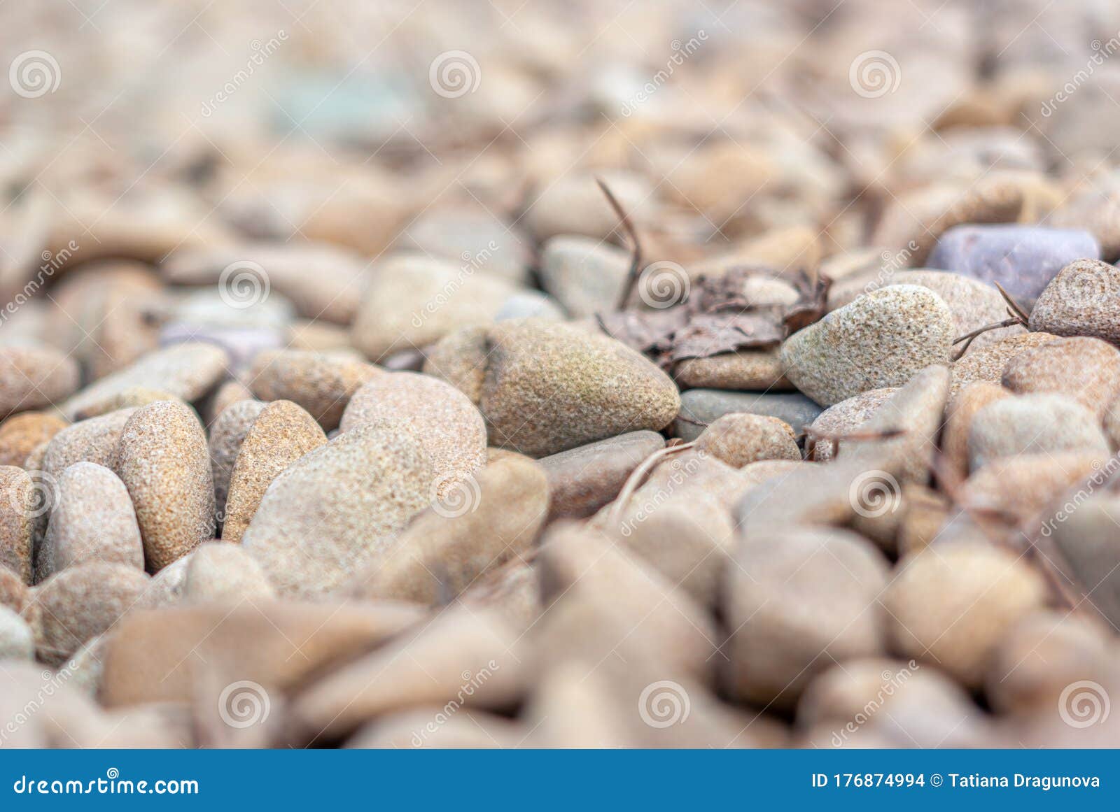 Large Beige Pebbles Background Image Stock Photo - Image of sandstone ...