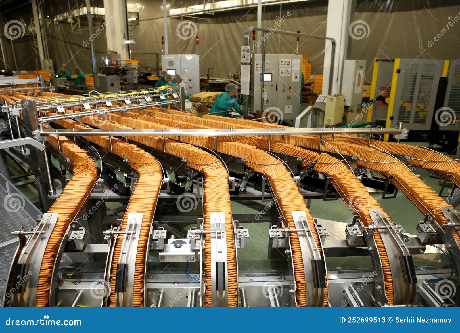 Large Biscuit Factory. a Line of Biscuits in a Large Factory. Packing ...
