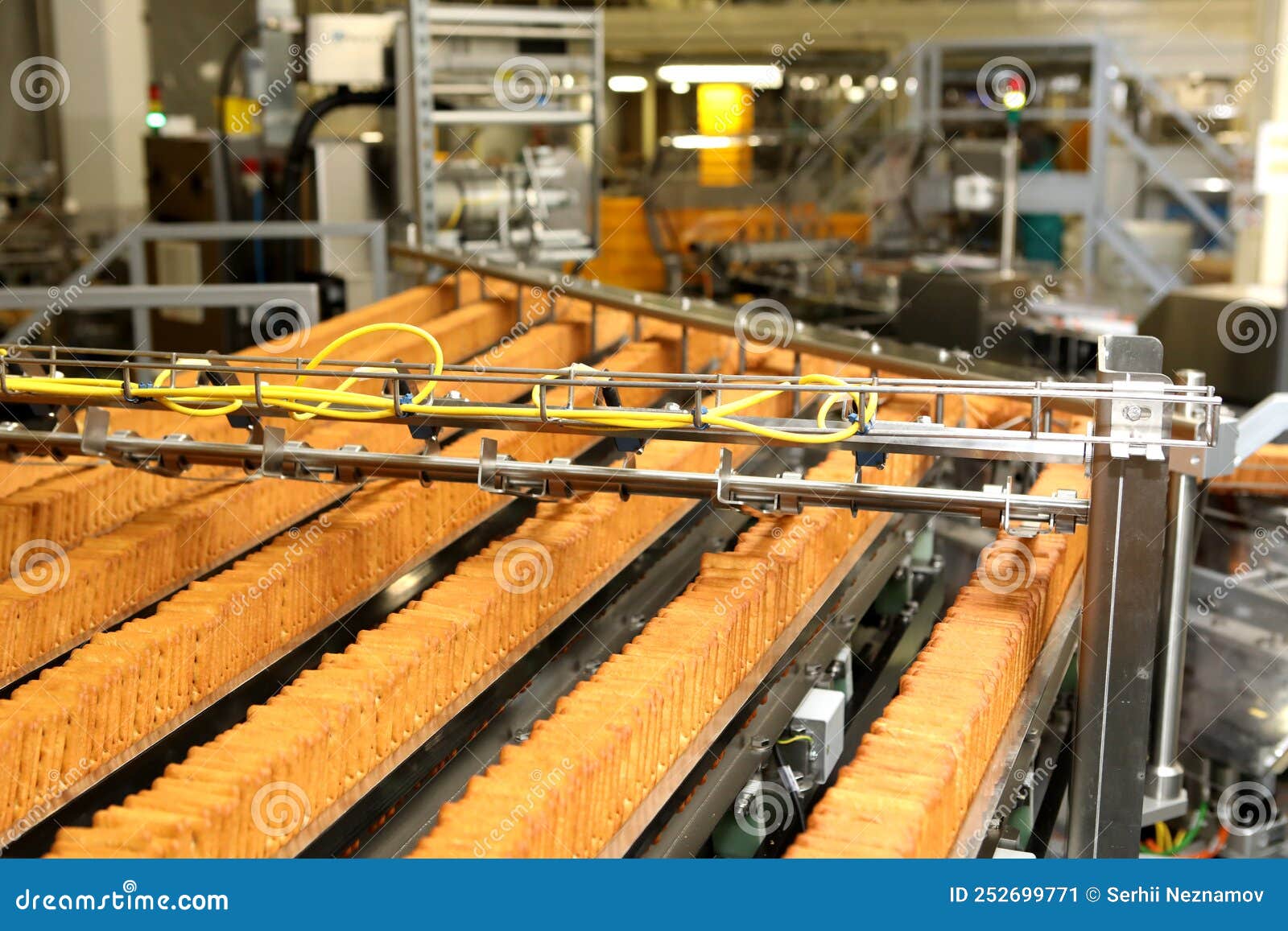 Large Biscuit Factory. a Line of Biscuits in a Large Factory. Packing ...