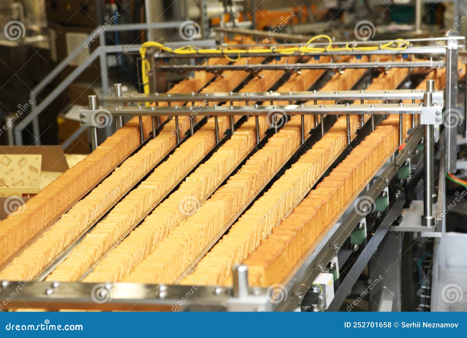 Large Biscuit Factory. a Line of Biscuits in a Large Factory. Packing ...