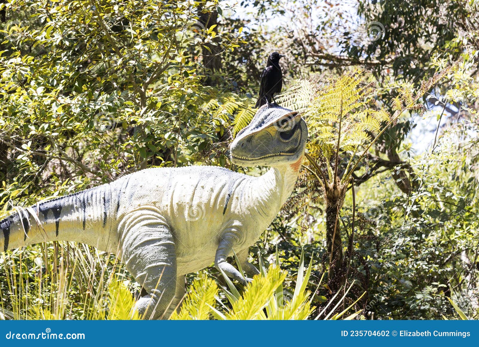 Large Black Crow Sits on the Head of a Dinosaur Stalking through the ...