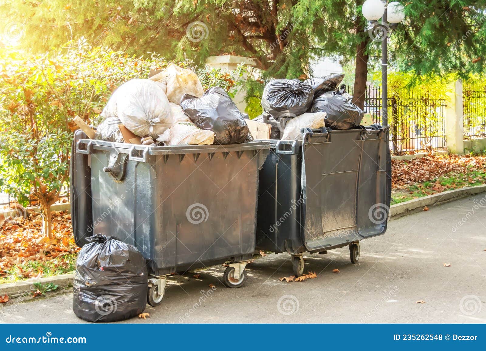 Large Overflowing Black Trash Bags Full Of Raked Up Dry Tree Leaves In ...