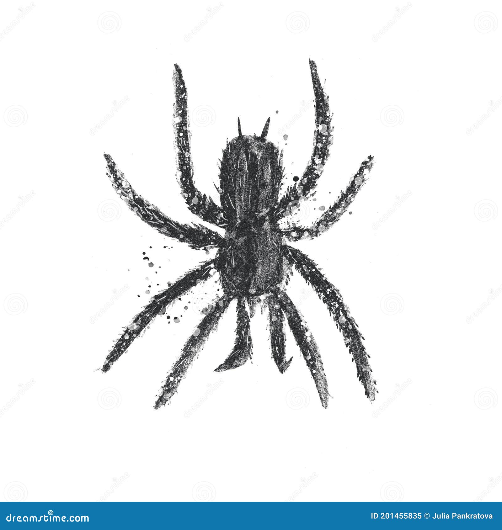126 Spider Hand Drawn Photos - Free & Royalty-Free Stock Photos from ...