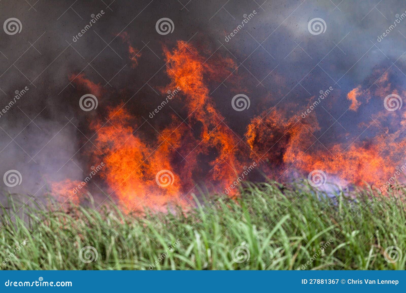 Blazing Fire Crops stock image. Image of blaze, fire - 27881367