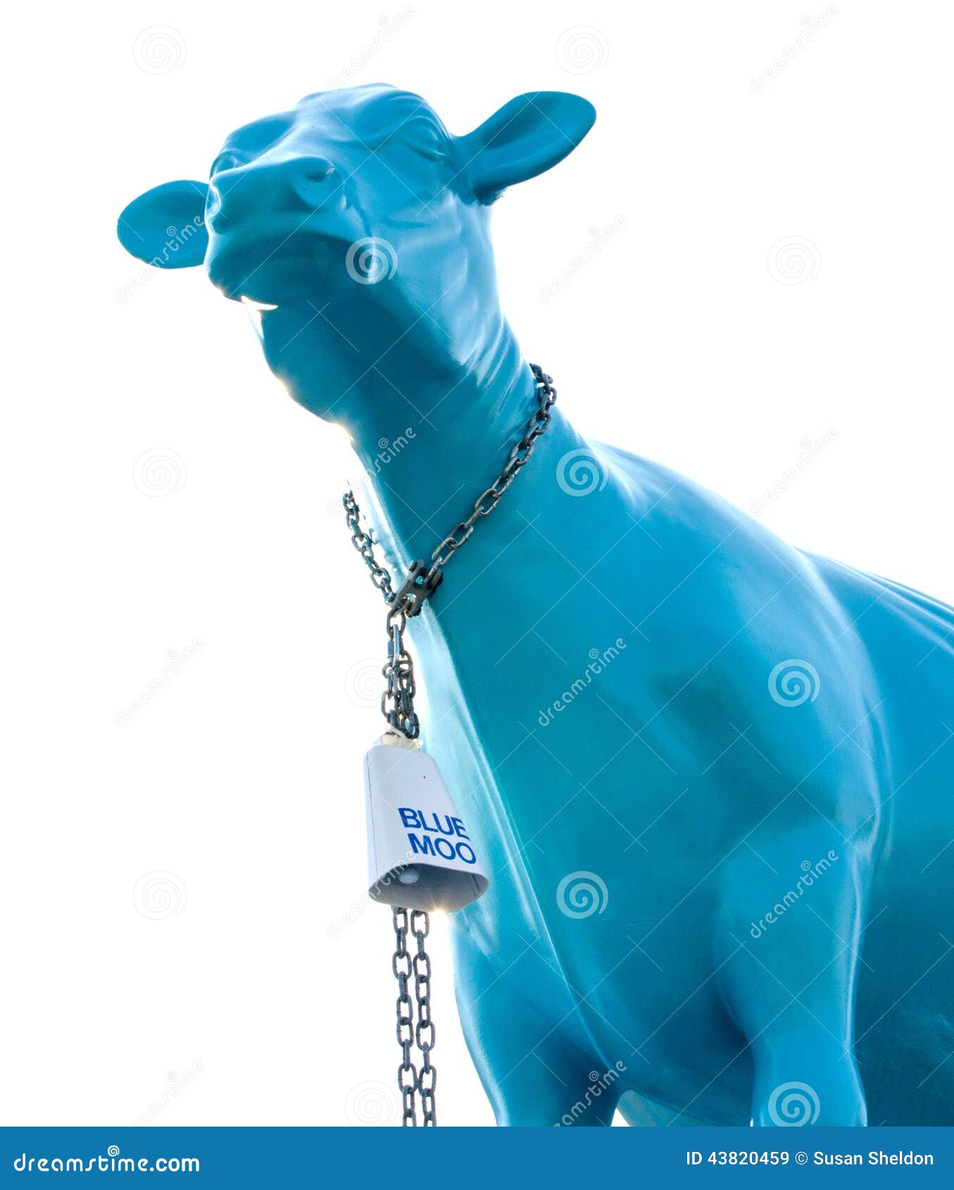 Large blue cow stock image. Image of mammal, animal, large - 43820459
