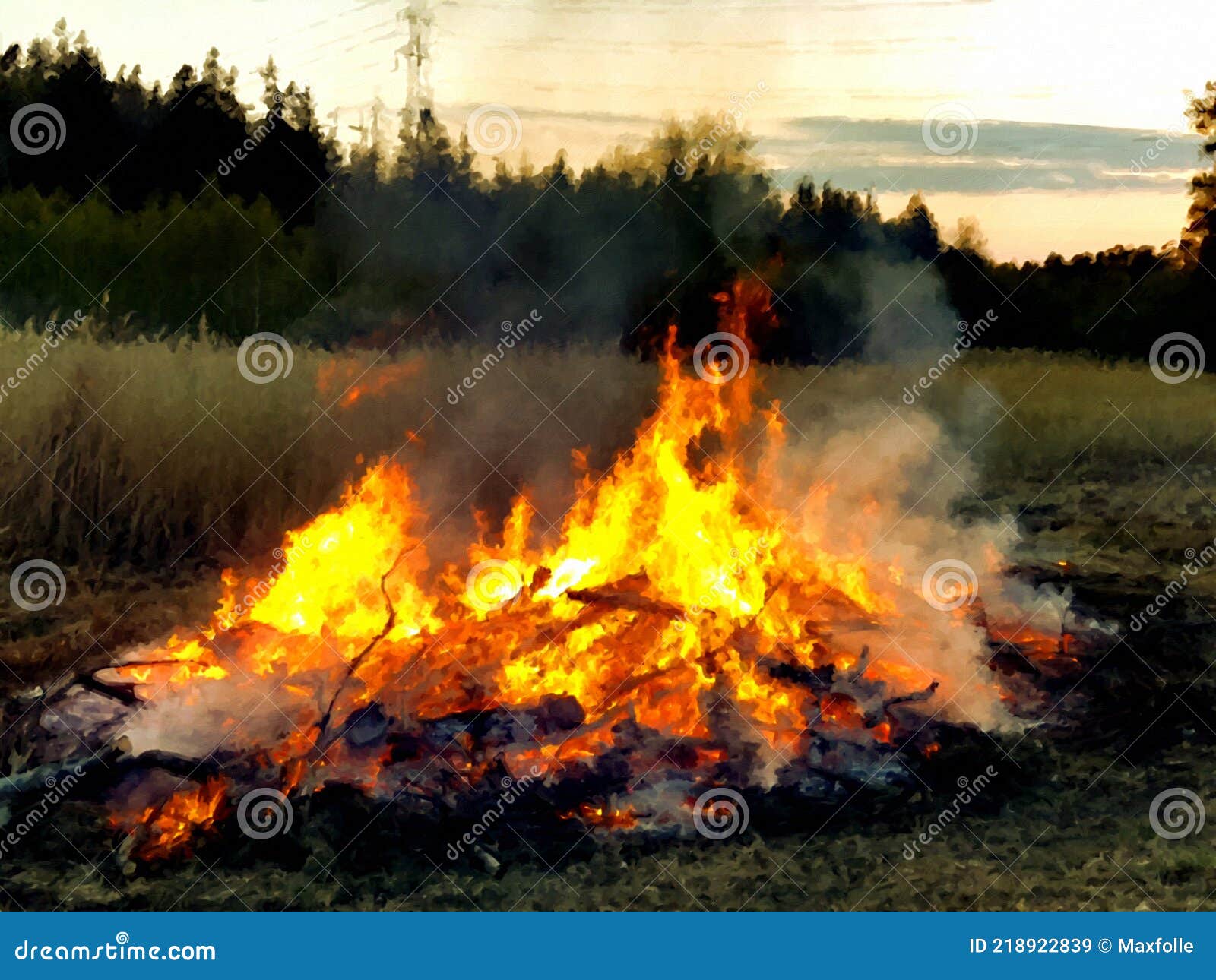 A Large Bonfire on the Edge of the Forest Celebrates the Arrival of ...