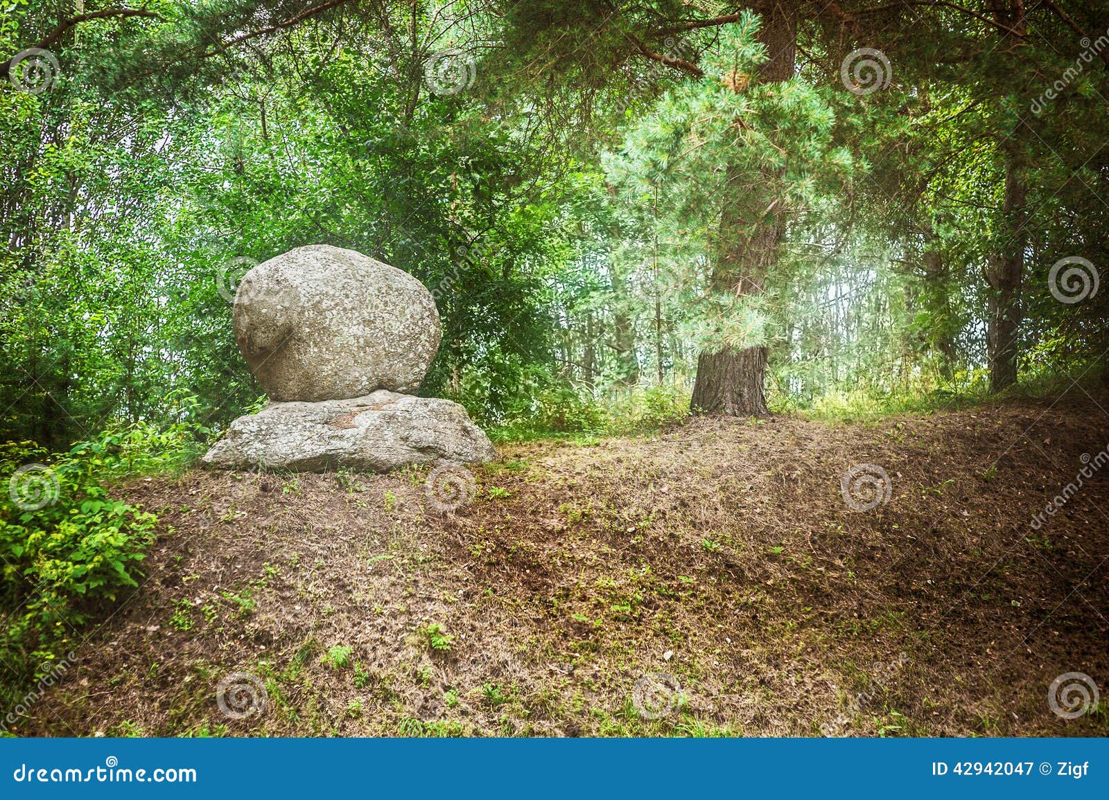 Large Boulder in Dense Forest Stock Image - Image of natural, hiking ...