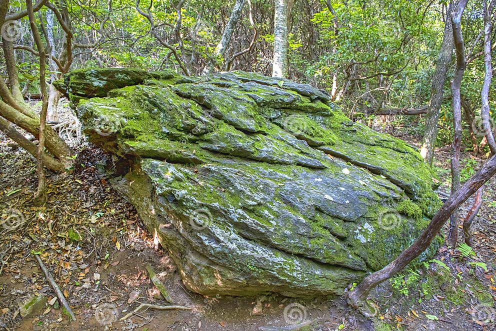 Large Boulder in the Forest, Covered in Moss Stock Photo - Image of ...