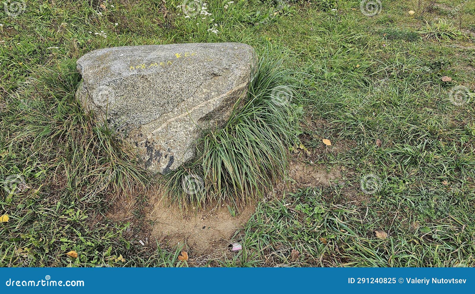 A Large Boulder and Grass Growing on Its Side. Stock Image - Image of ...