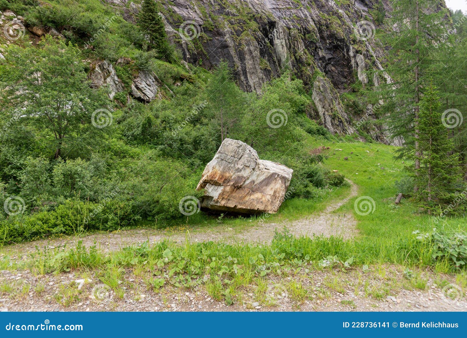 Large Boulder Next To the Forest Path Stock Image - Image of mountain ...