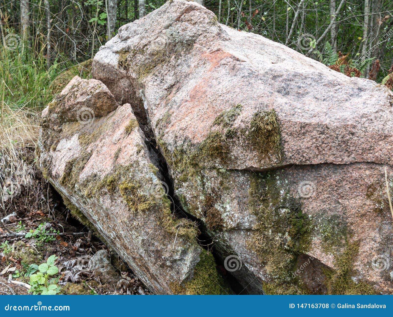 Large Boulder, Overgrown with Moss with a Crack Stock Photo - Image of ...
