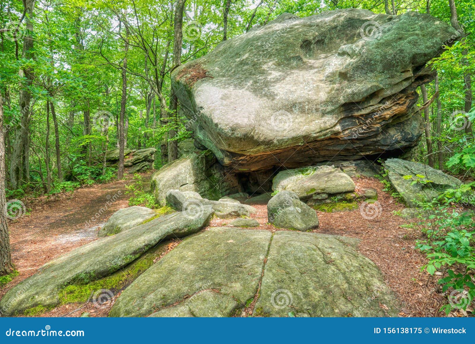 Large Boulder on Rocks in a Beautiful Forest with Trees in the ...