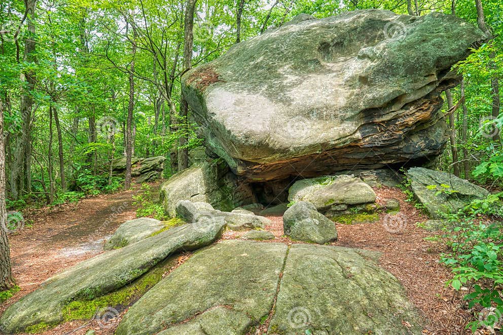 Large Boulder on Rocks in a Beautiful Forest with Trees in the ...