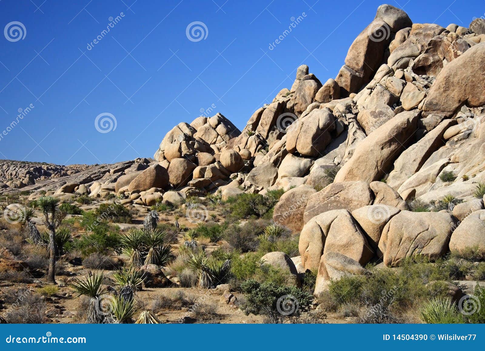 Large Boulders stock photo. Image of vista, geology, national - 14504390