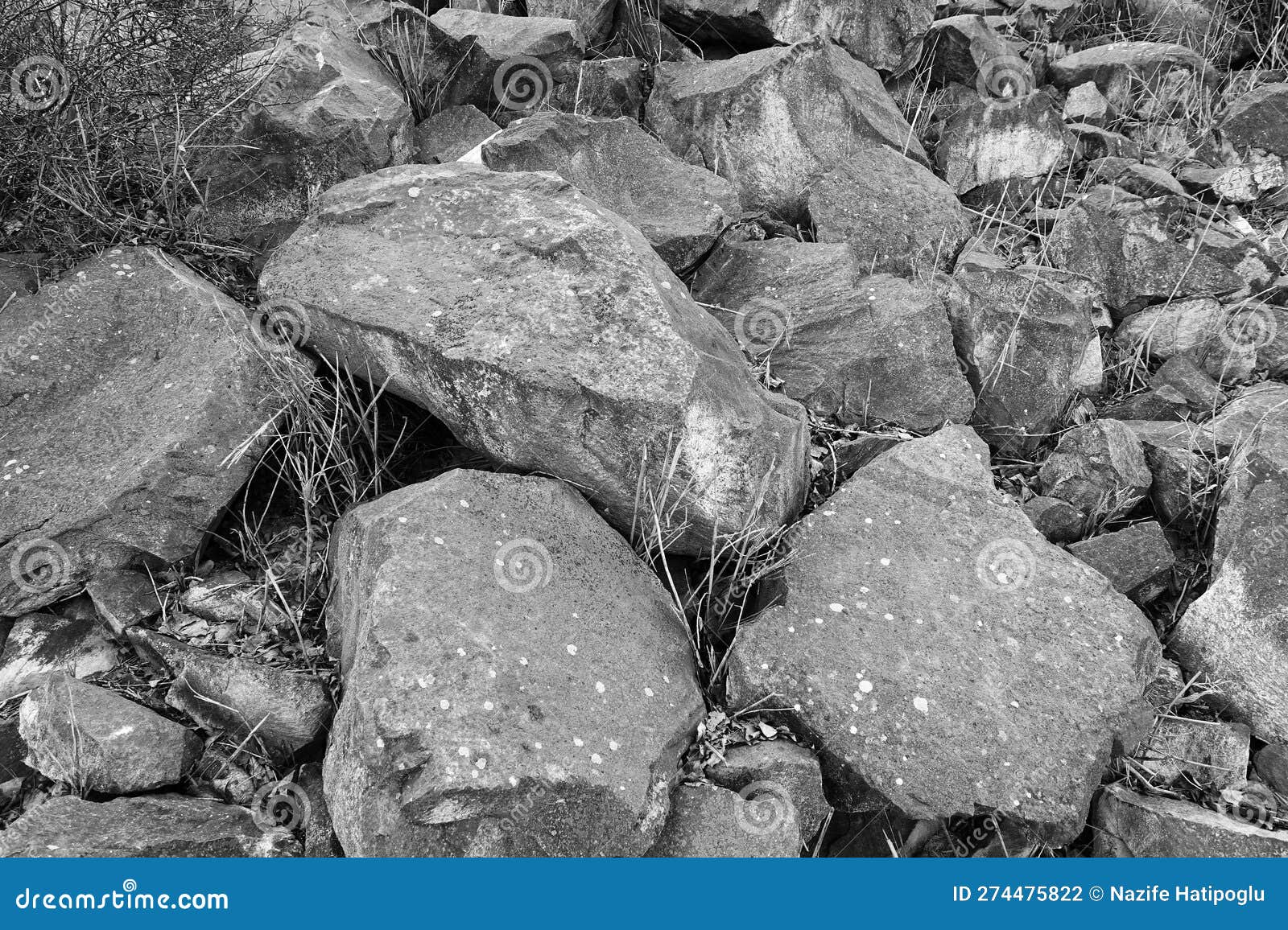 Large Boulders Placed in Front of the Ponds, Large Rocks that Act As ...