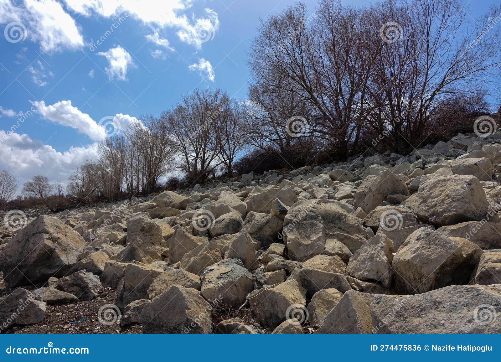 Large Boulders Placed in Front of the Ponds, Large Rocks that Act As ...