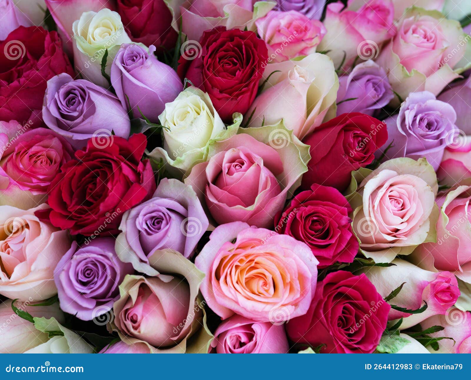 A Large Bouquet of Beautiful Multicolored Roses Stock Image - Image of ...