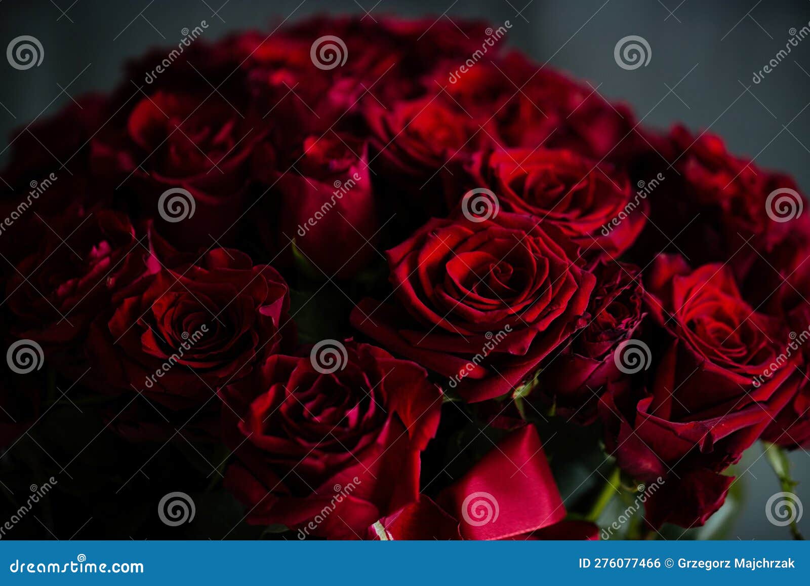 A Large Bouquet of Beautiful Red Roses. Stock Photo - Image of romance ...