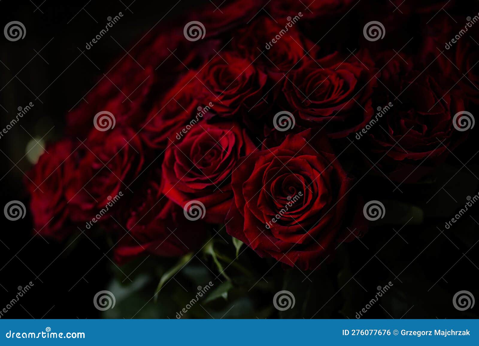 A Large Bouquet of Beautiful Red Roses. Stock Photo - Image of wedding ...