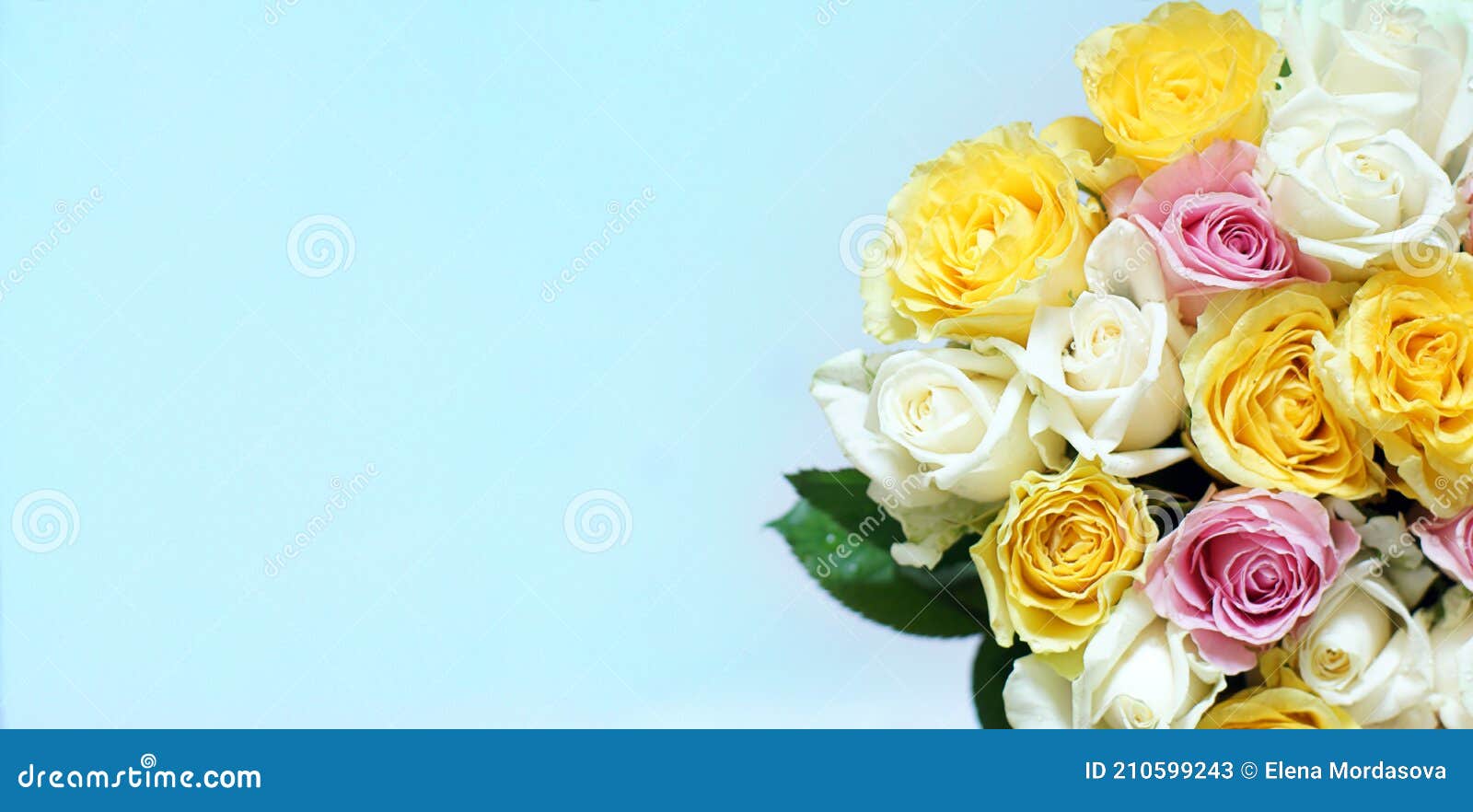 Large Bouquet of Many Beautiful Multicolored Roses on a Blue Background ...