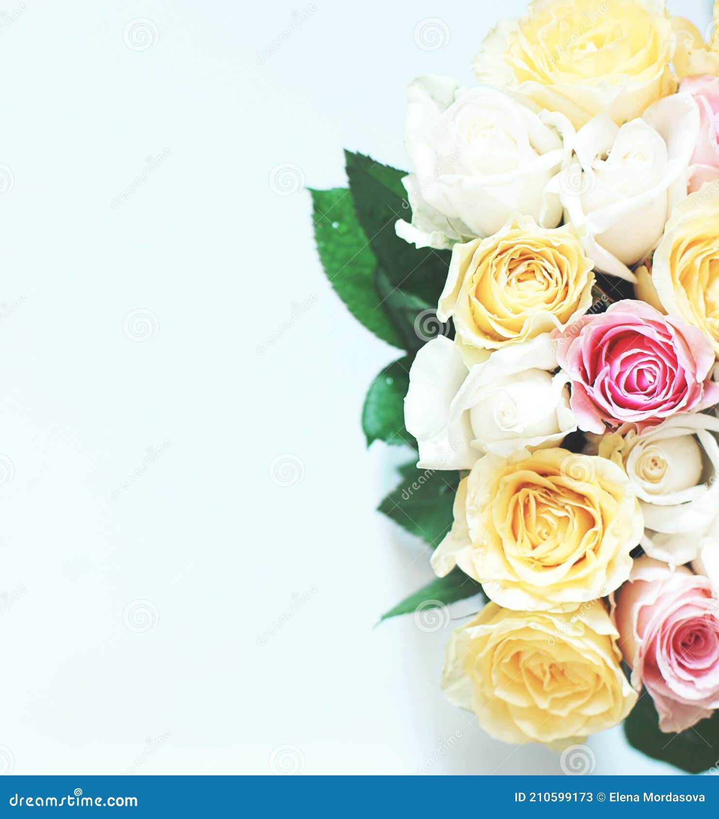 Large Bouquet of Many Beautiful Multicolored Roses on a White ...